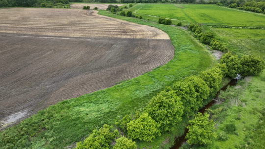 Agriculture Stewardship: MPCA begins process to update feedlot rule