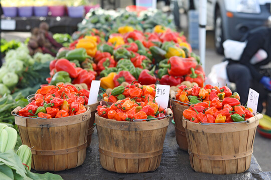 June 21, 2023 Plymouth Farmers Market Newsletter