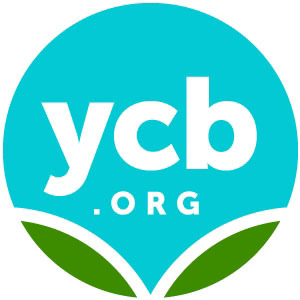 YCB Newsletter - July