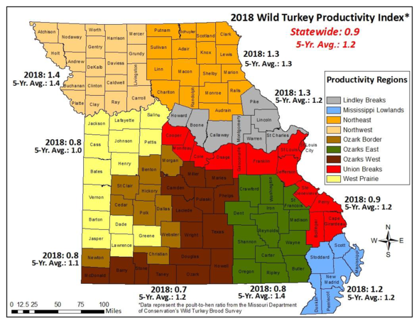 MDC predicts fall turkey hunting likely to be challenging