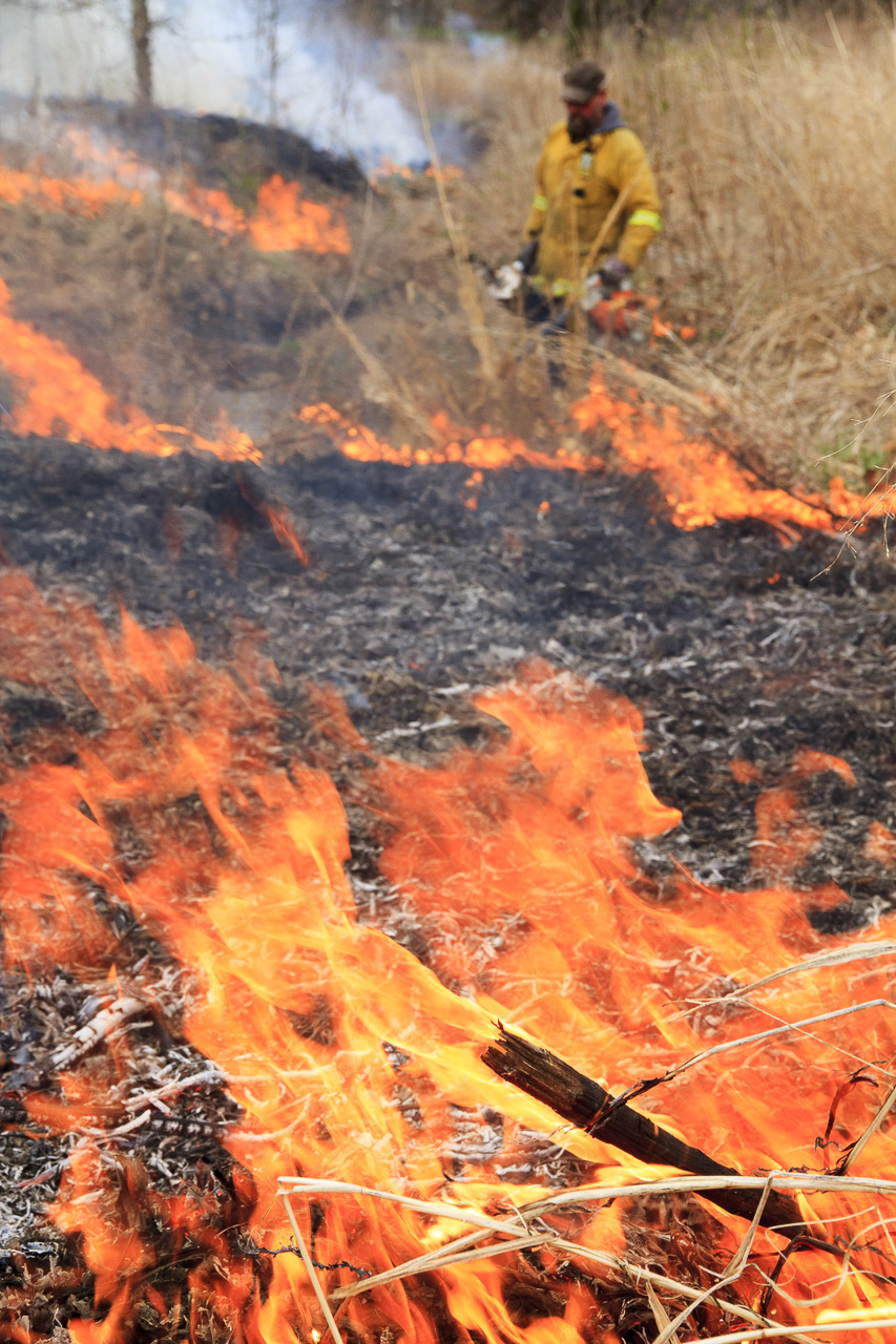 MDC offering prescribed burn certification training in the St. Louis region