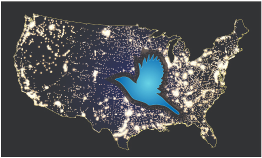 Learn how to protect birds from light pollution and glass collisions at ...