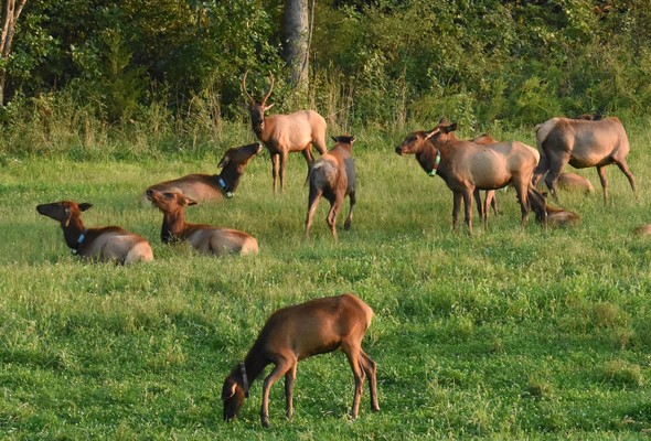 MDC and PRA: 85 years of serving nature and you