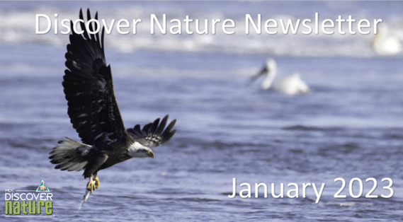 MDC Discover Nature Newsletter: January 2023
