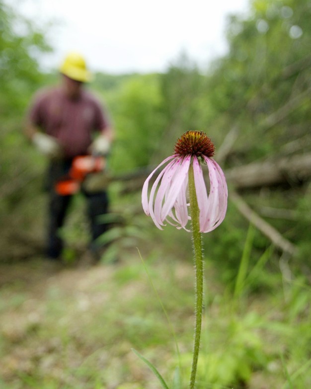 MDC to host workshop for landowners March 24 at Powder Valley Nature Center