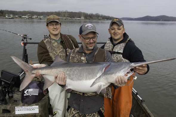 MDC virtual program on Feb. 22 to focus on paddlefish snagging