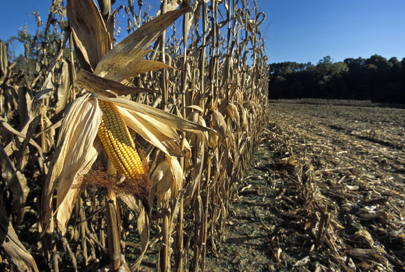 Join Jay Henges Shooting Range for Food Plots for Wildlife program March 7