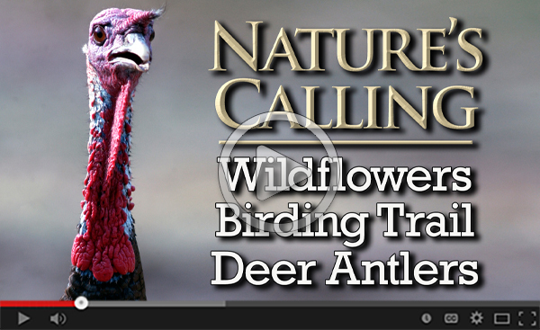 Nature's Calling August Edition