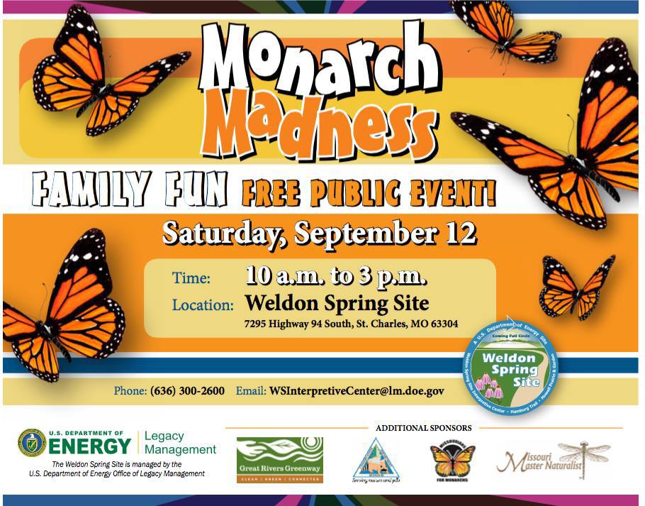 Monarch Madness
