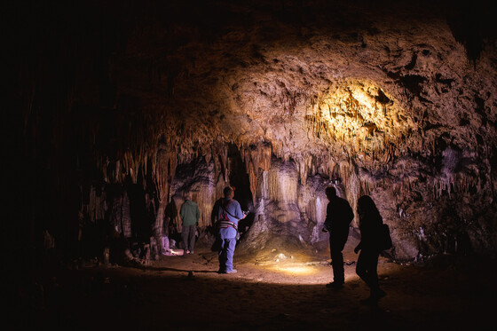 Summer Safety Zone: Ladder Safety | Cave Safety | Emergency ...