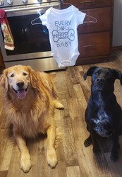 The Mo HealthNet Monthly - June Edition