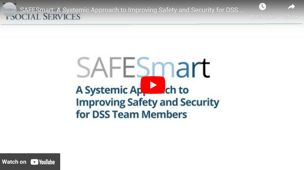 SAFESmart: A Systemic Approach to Improving Safety and Security for DSS ...