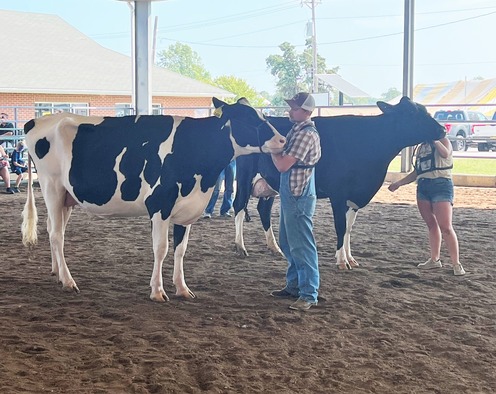 **FOR IMMEDIATE RELEASE: Missouri Department of Agriculture Announces ...