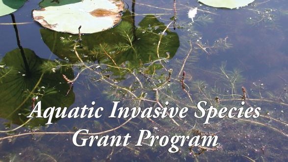 Montana Invasive Species Bulletin