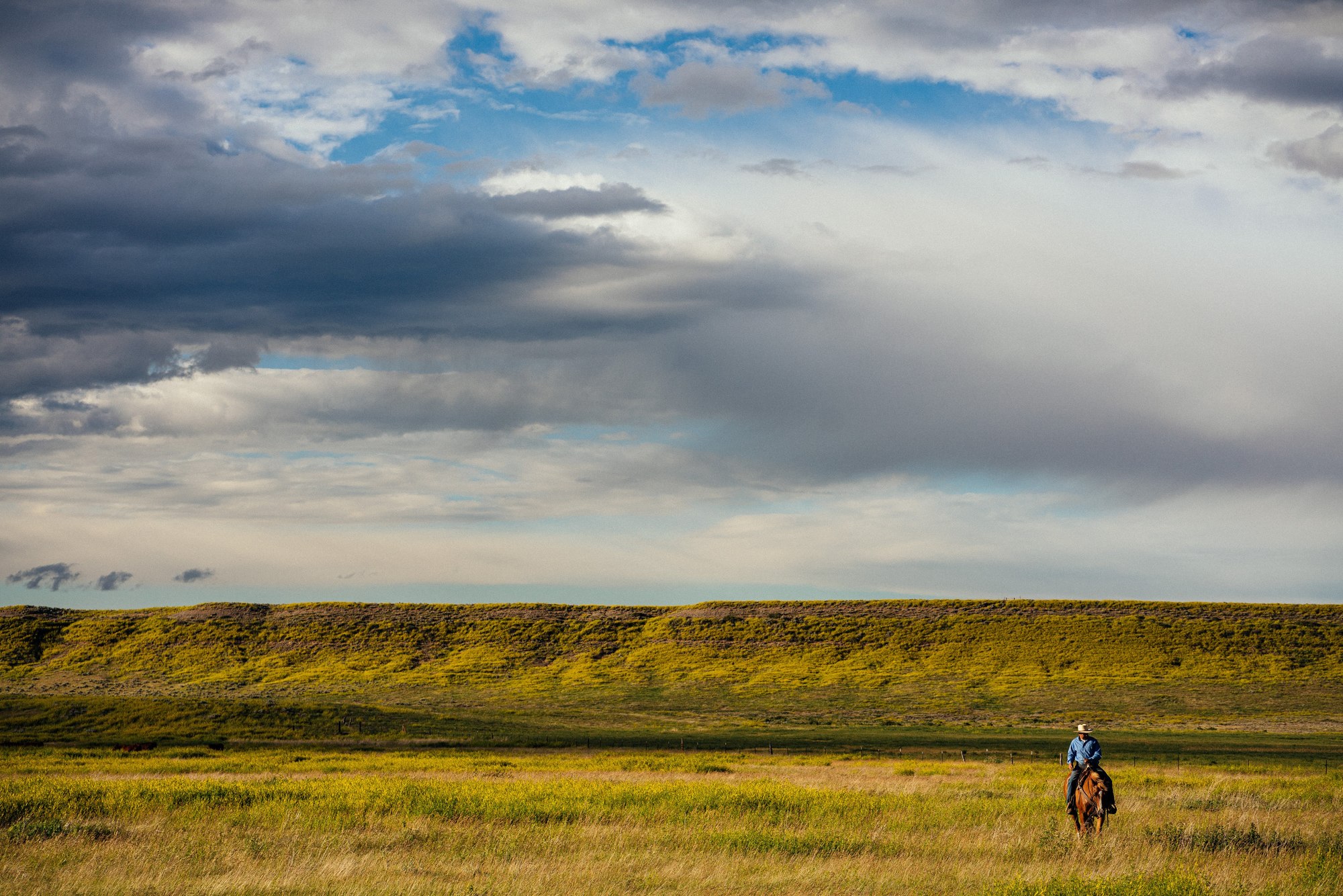 406 Rangelands October 2020