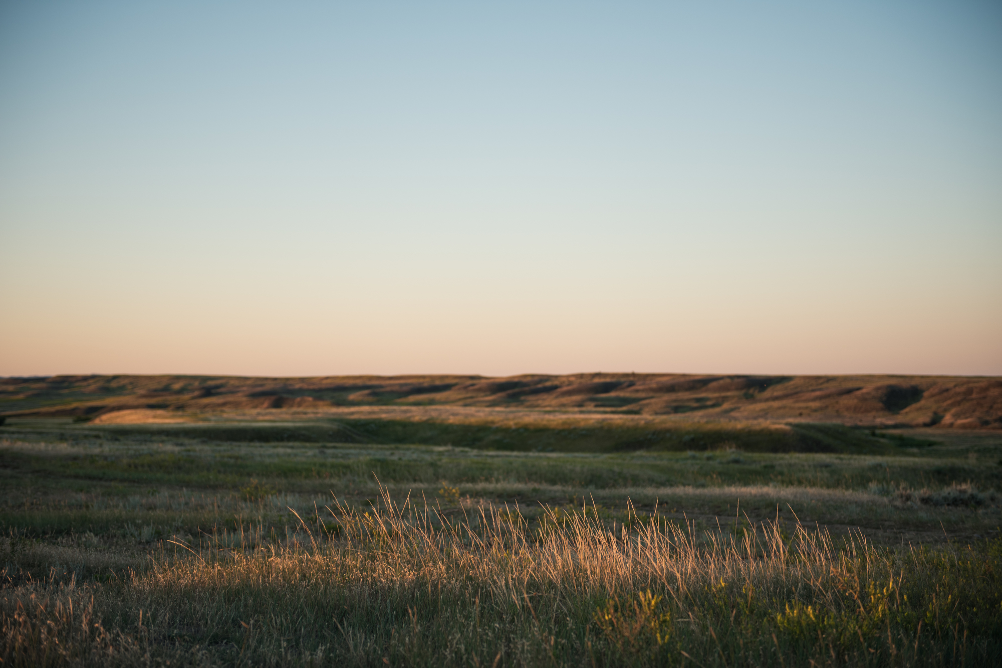 March Rangeland Resources Newsletter 2022