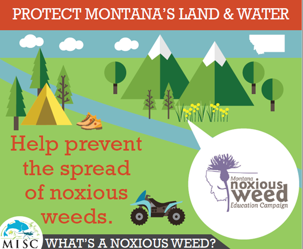 Noxious Weed Monday! COME CLEAN. LEAVE CLEAN.