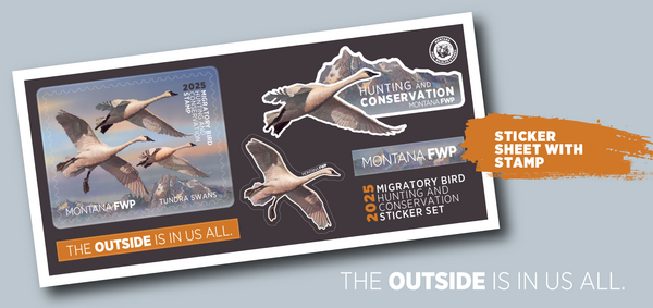 Thank you for purchasing a Migratory Bird License