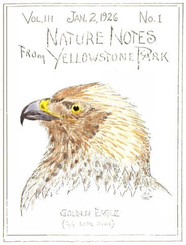 New Yellowstone Collection and LEGO Event Photos