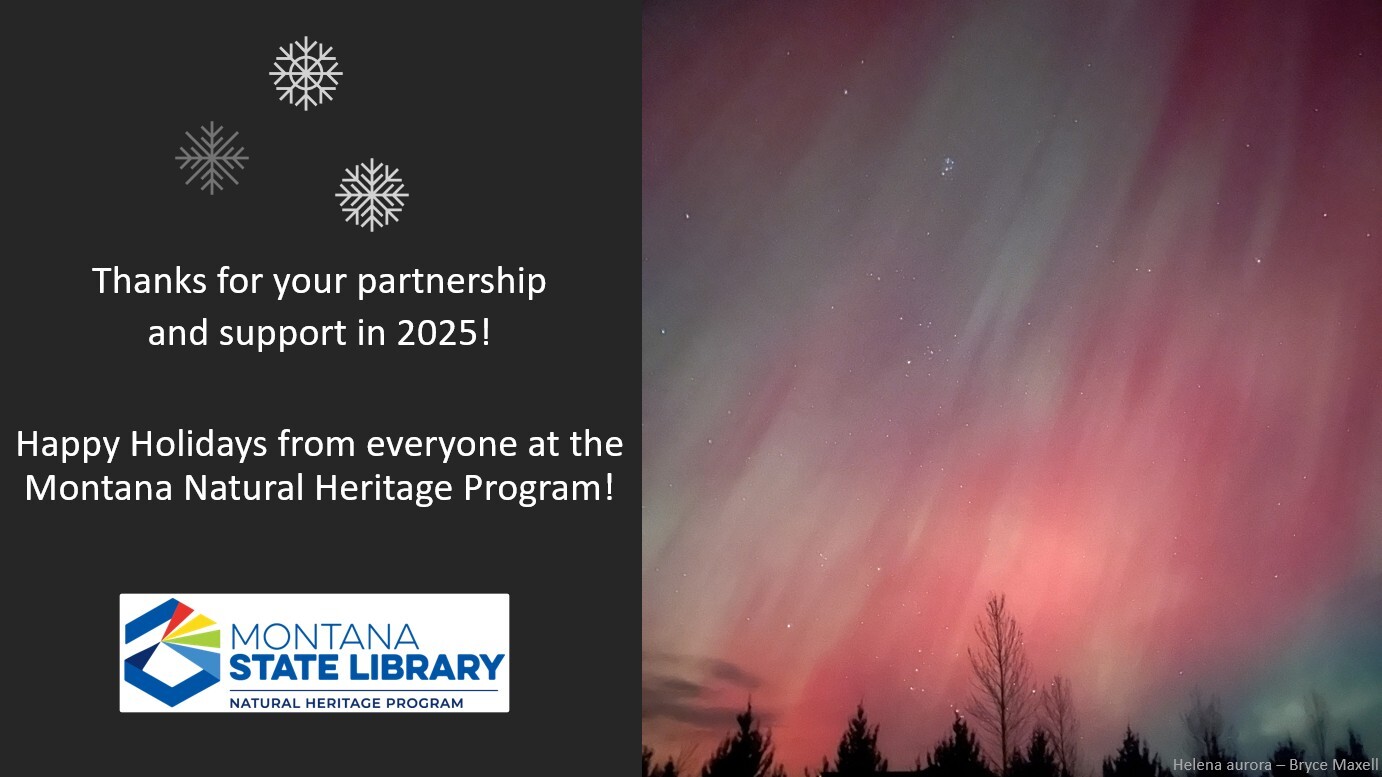 Happy Holidays from the Montana Natural Heritage Program