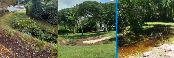 Applications Now Open for the Community Conservation Assistance Program