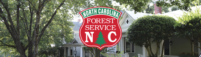 Apply for Urban and Community Forestry project funding!