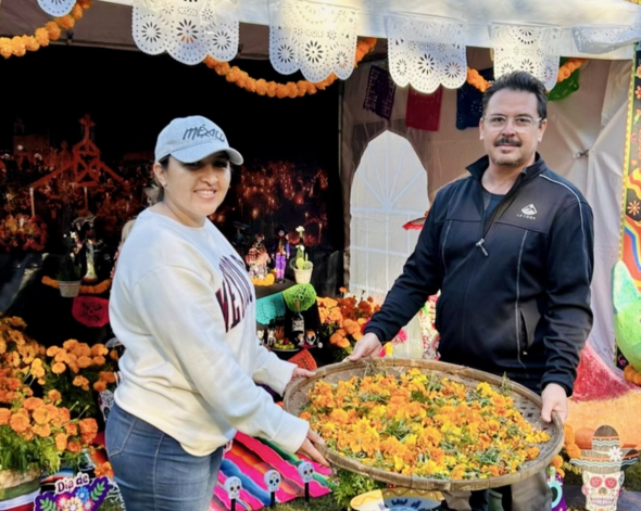 🏵️ Celebrate New Traditions This Weekend! Plus NEW Art and Opportunities!