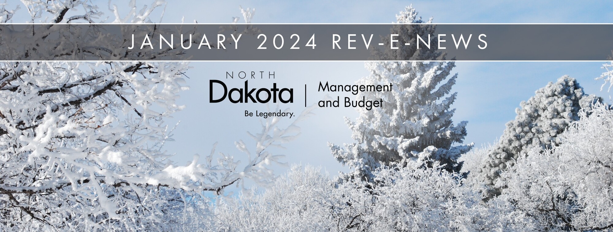 Rev-E-News: January 2024