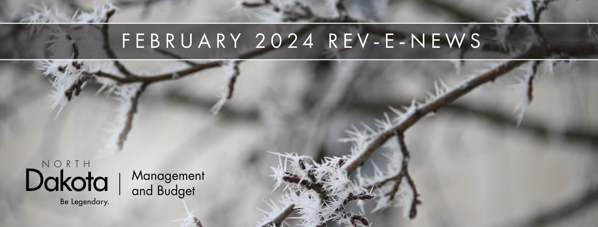 Rev-E-News: February 2024