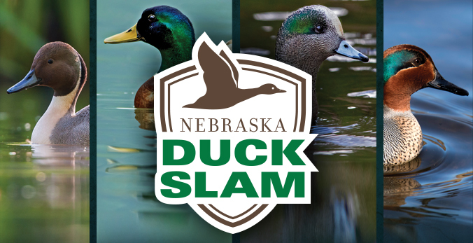 Duck Slam deadline is approaching!