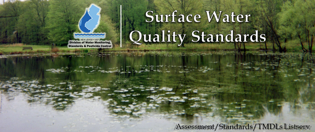 February 3 Stakeholder Meeting - Surface Water Quality Standards