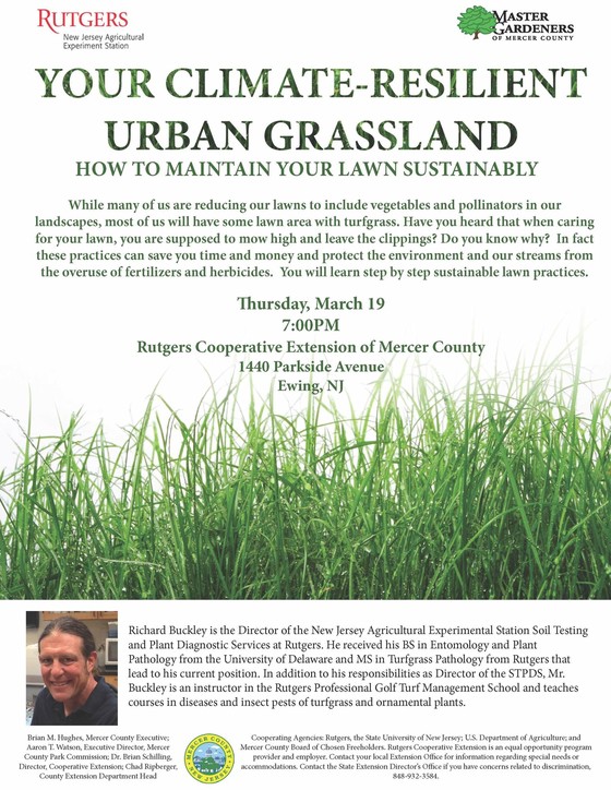 Climate-Resilient Lawn? Care Tips With Mercer Master Gardeners