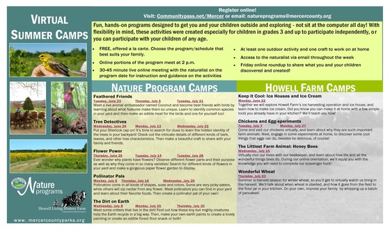 Virtual Summer Nature Camps & in-person programming