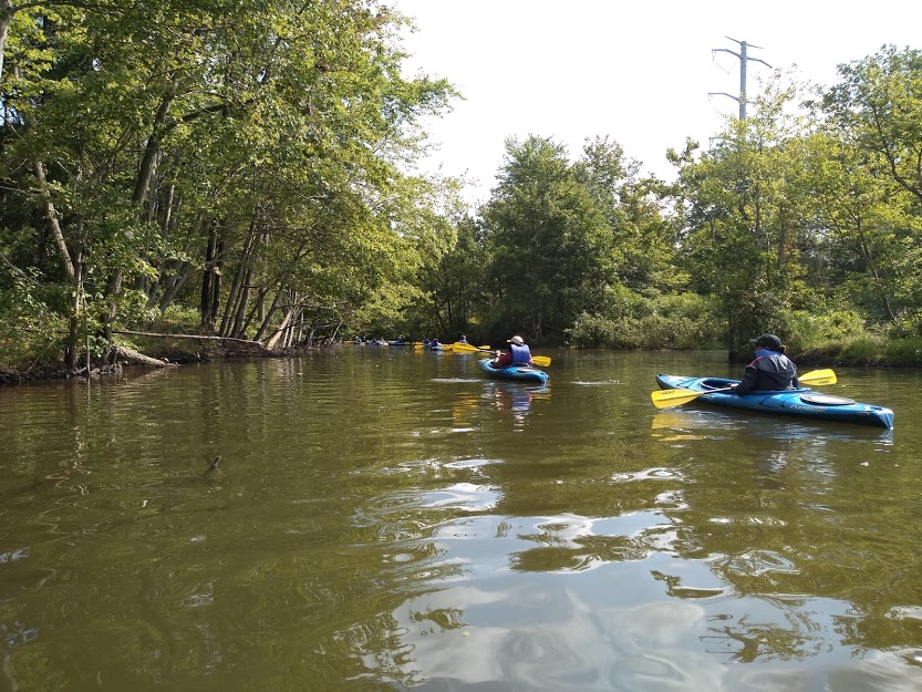 Upcoming Kayak Nature Tours
