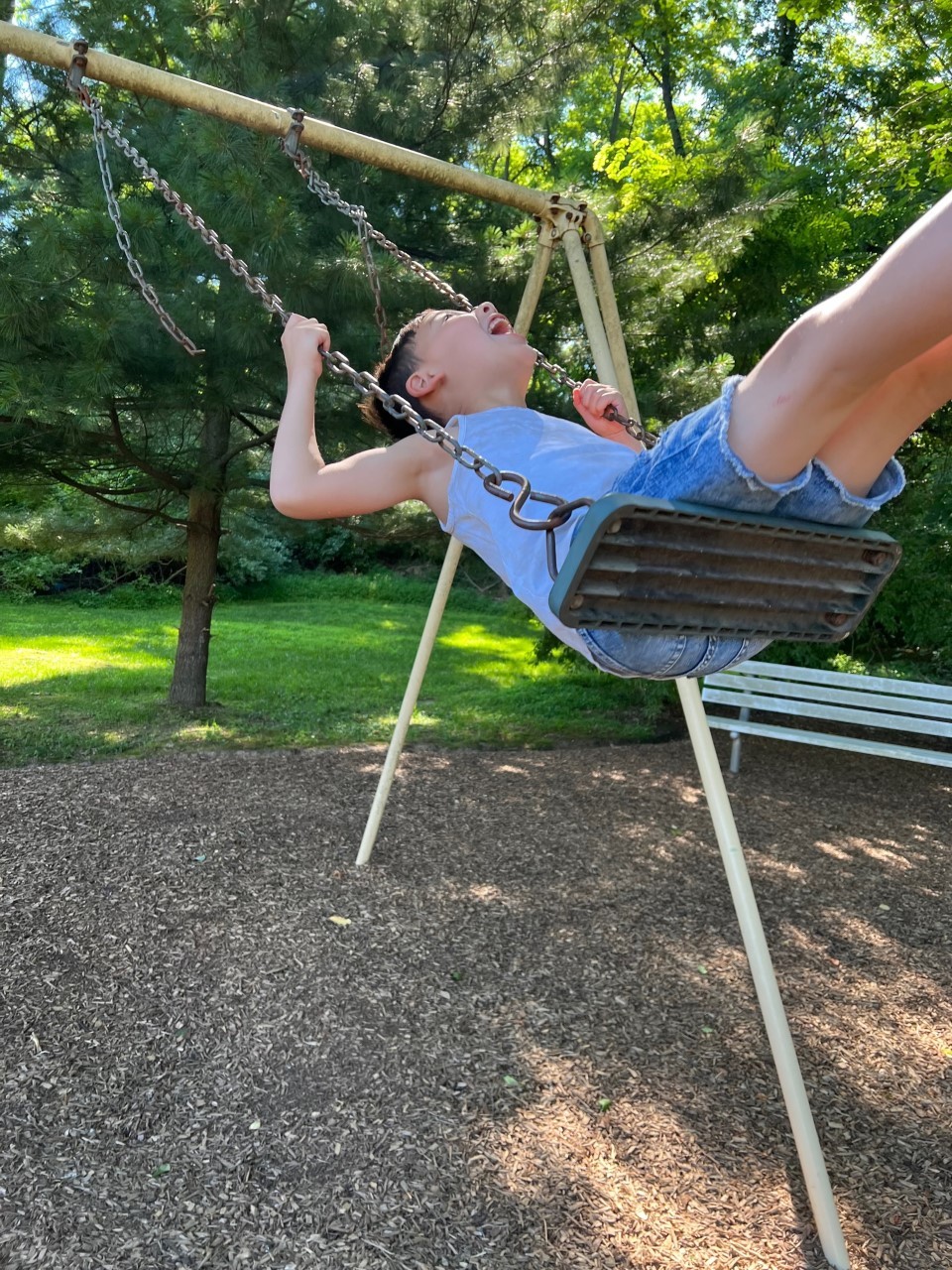 Mosquito Control Spraying for August 24-27, 2022