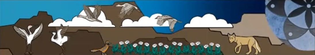 Proposal Selected for the South Valley Pool and Splash Pad Mosaic