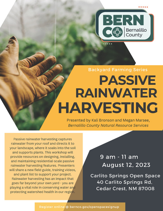 8/12 Passive Rainwater Harvesting Workshop at Carlito Springs