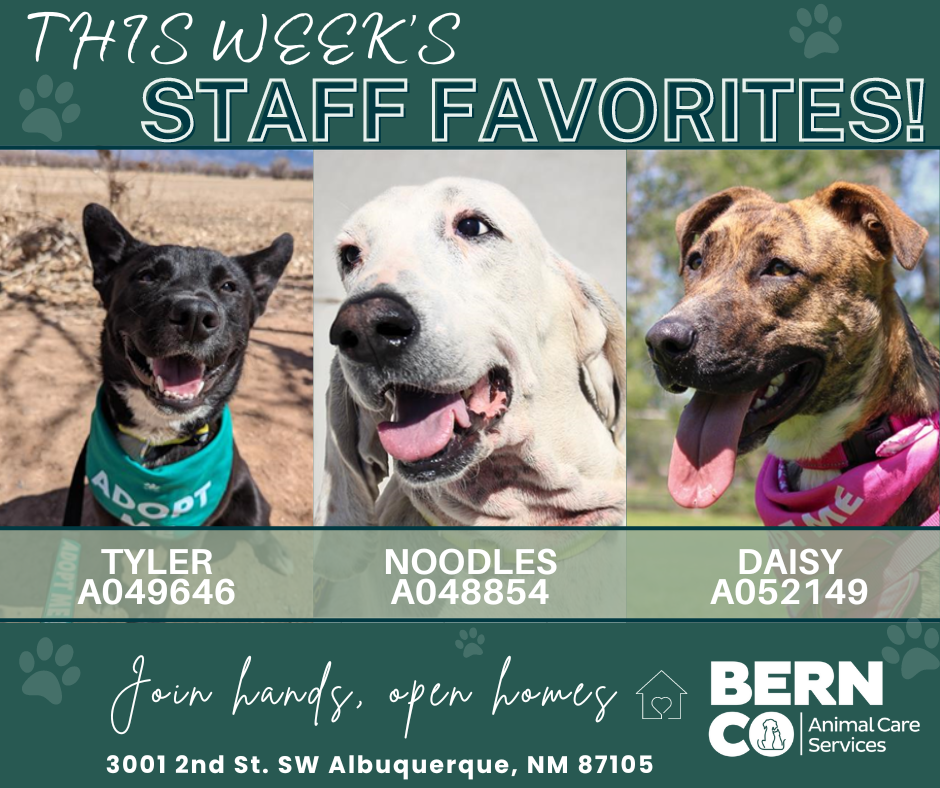 BernCo at a Glance| June 26, 2024