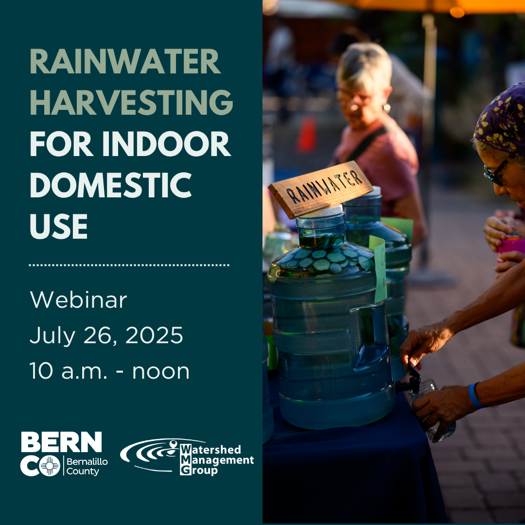 Rainwater Harvesting for Indoor Domestic Use Webinar