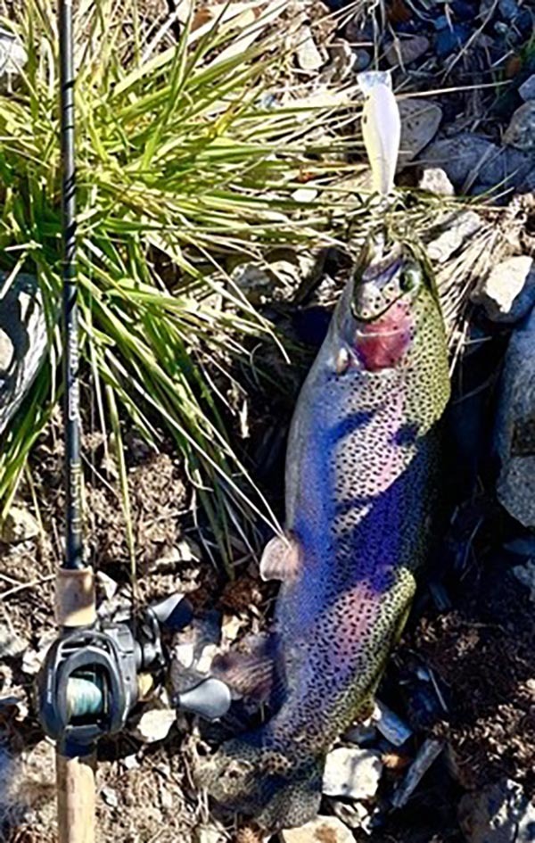 New Mexico Fishing And Stocking Reports For December 12