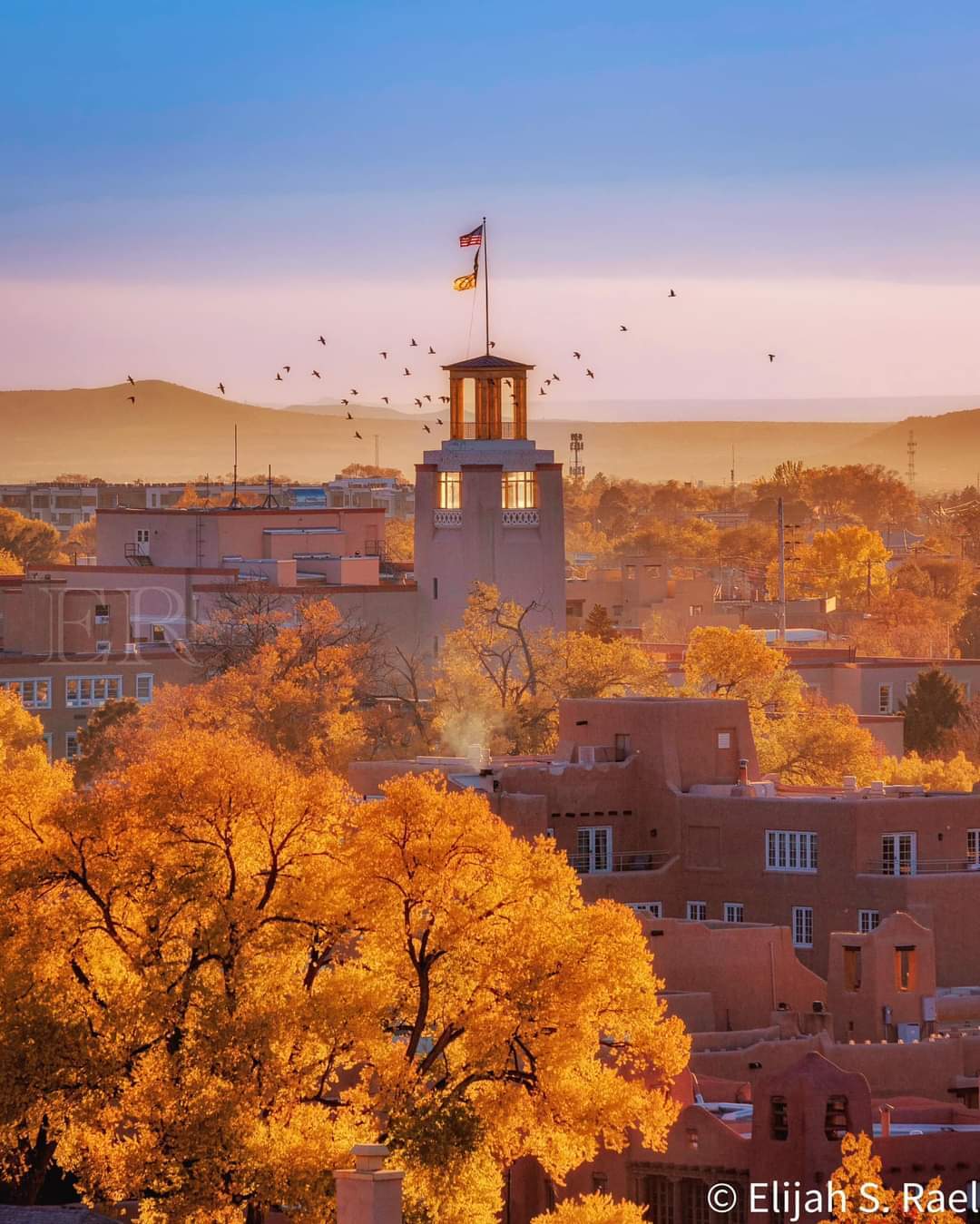 PFAS Watch Newsletter