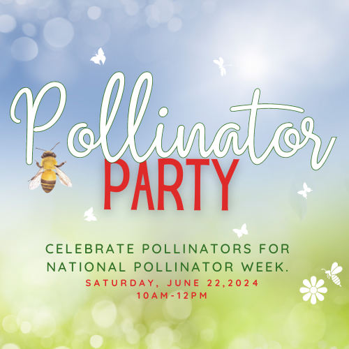 May at Wetlands Park