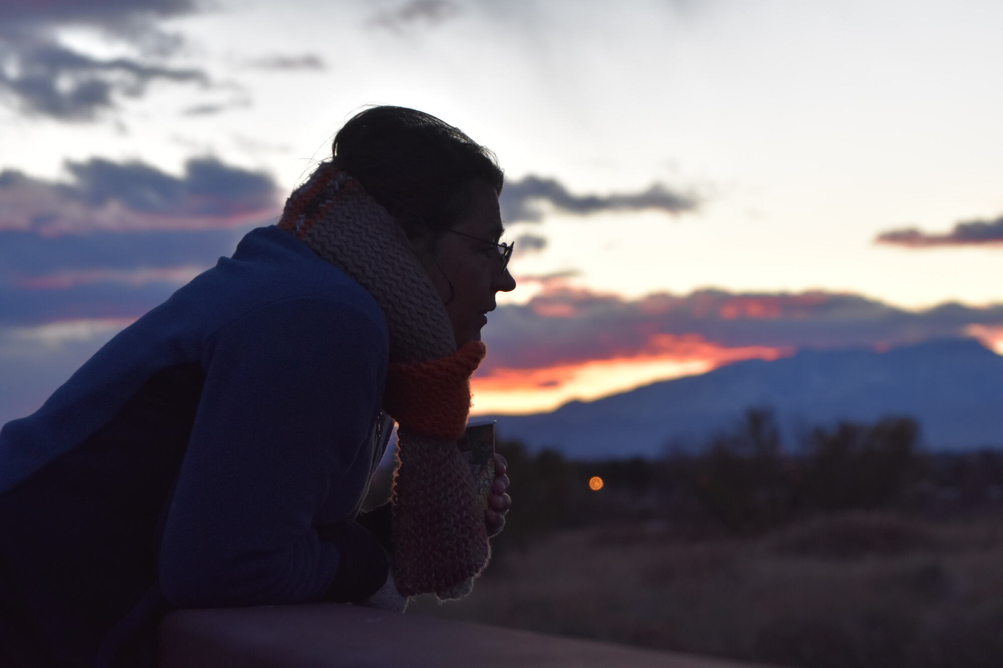 December Programs at Wetlands Park