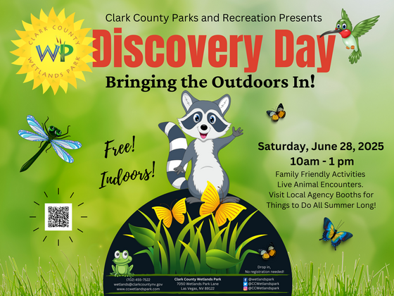 Discovery Day this Weekend!