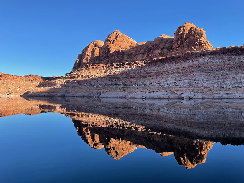 Weekly Update - Feb. 7, 2024