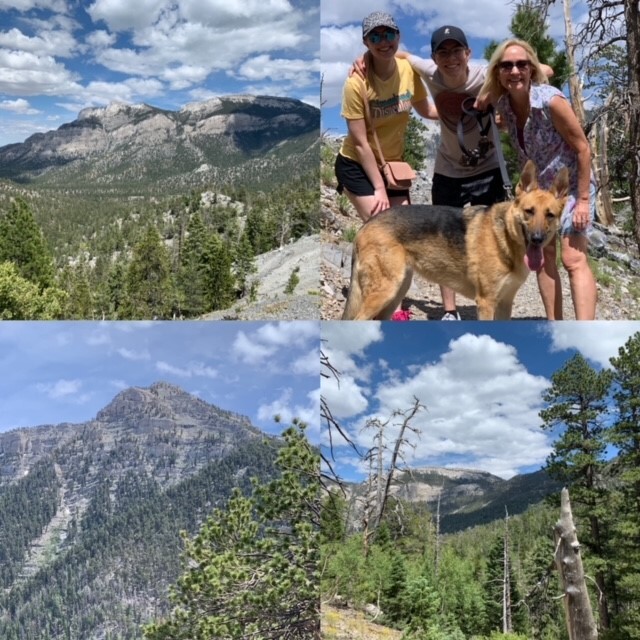 Weekly Update - Feb. 21, 2024