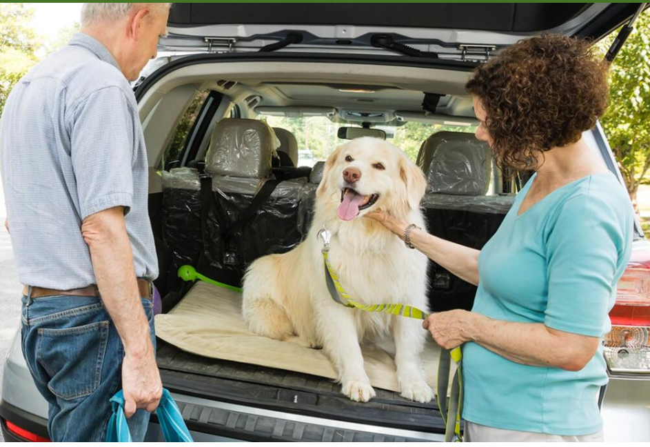 Prepare Your Car for Emergencies