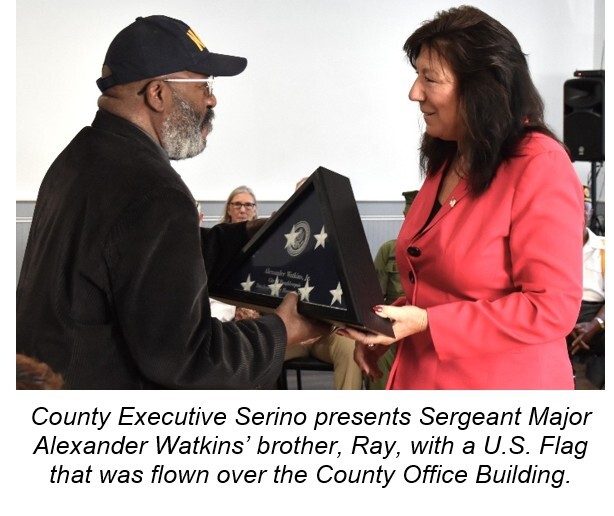 Sue Serino, County Recognize Poughkeepsie Sports Star, Army Vet at ...