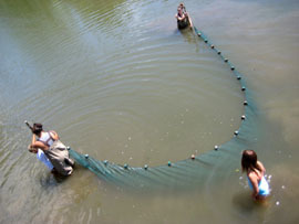 Hudson River Almanac 6/29/16 - 7/5/16