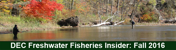 DEC Freshwater Fisheries Insider: Fall 2016
